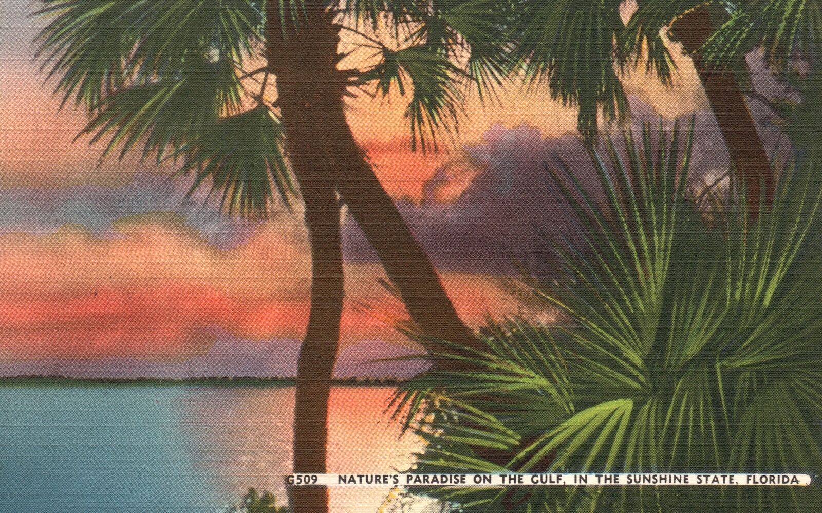 Vintage Postcard Nature's Paradise on the Gulf in Sunshine State ...