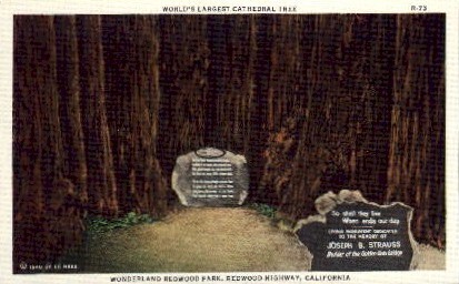 World's Largest Cathedral Tree - MIsc, California CA | Topics ...