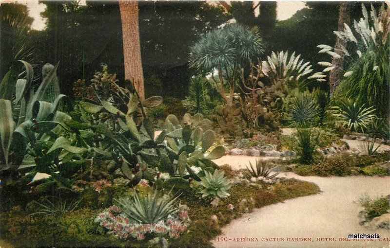 Arizona Cactus Garden 1910 Monterey California Hotel Del Monte Mitchell ...