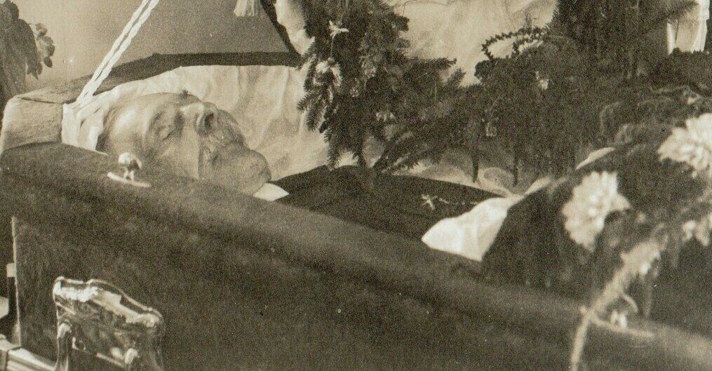 rppc c1920s POSTMORTEM Coffin OLD MAN Casket FUNERAL SCENE Cloesup DEAD ...