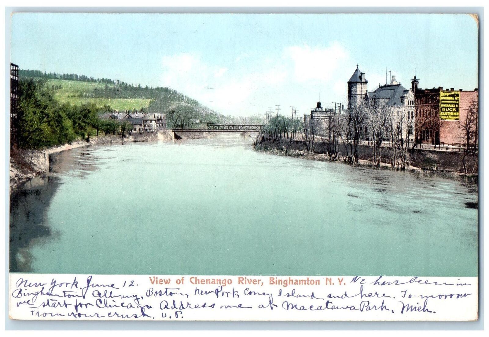 1906 View Of Chenango River Trees Binghamton New York NY Posted Vintage ...