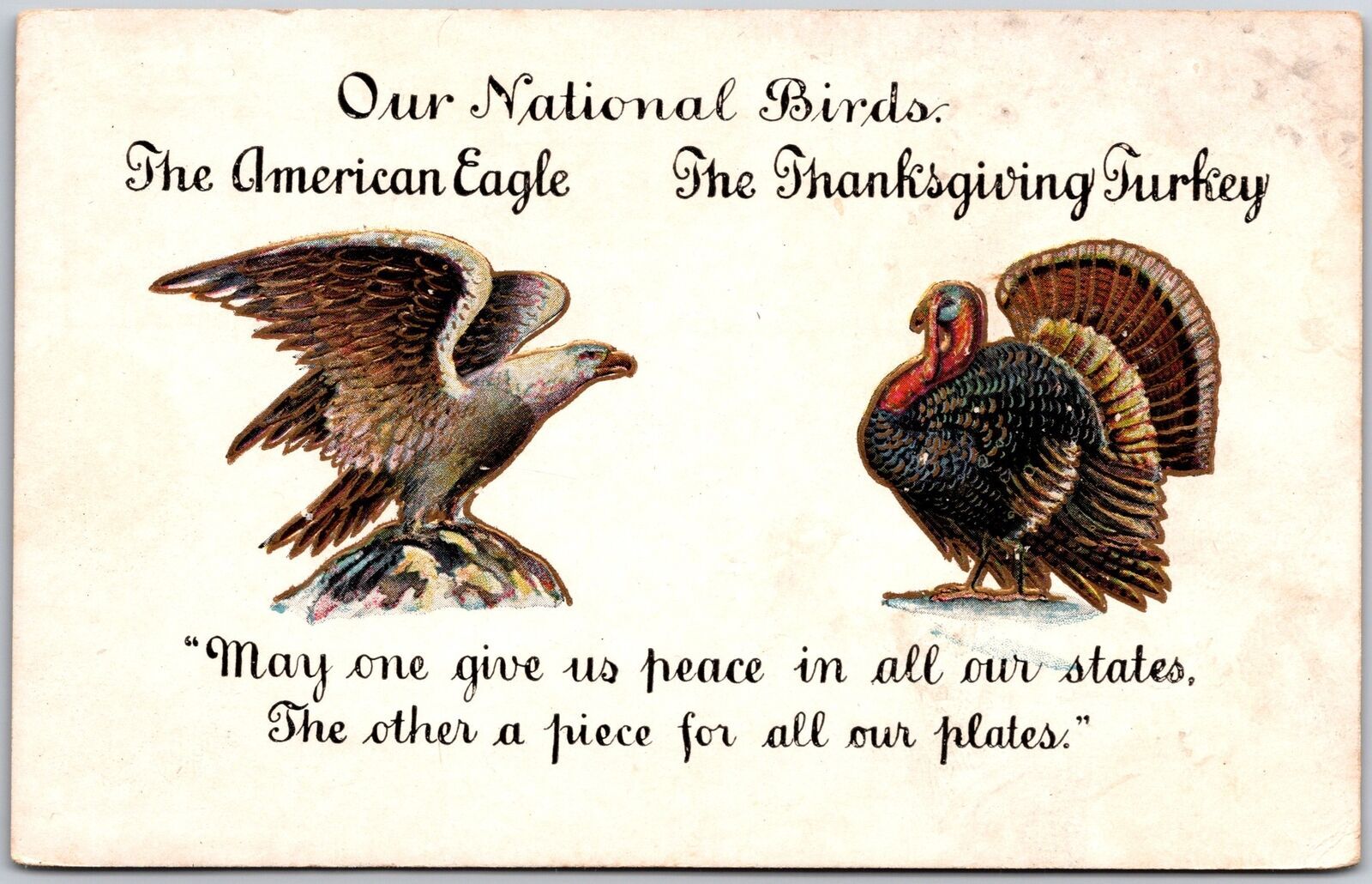 National Bird American Eagle & Thanksgiving Turkey Postcard | Europe ...