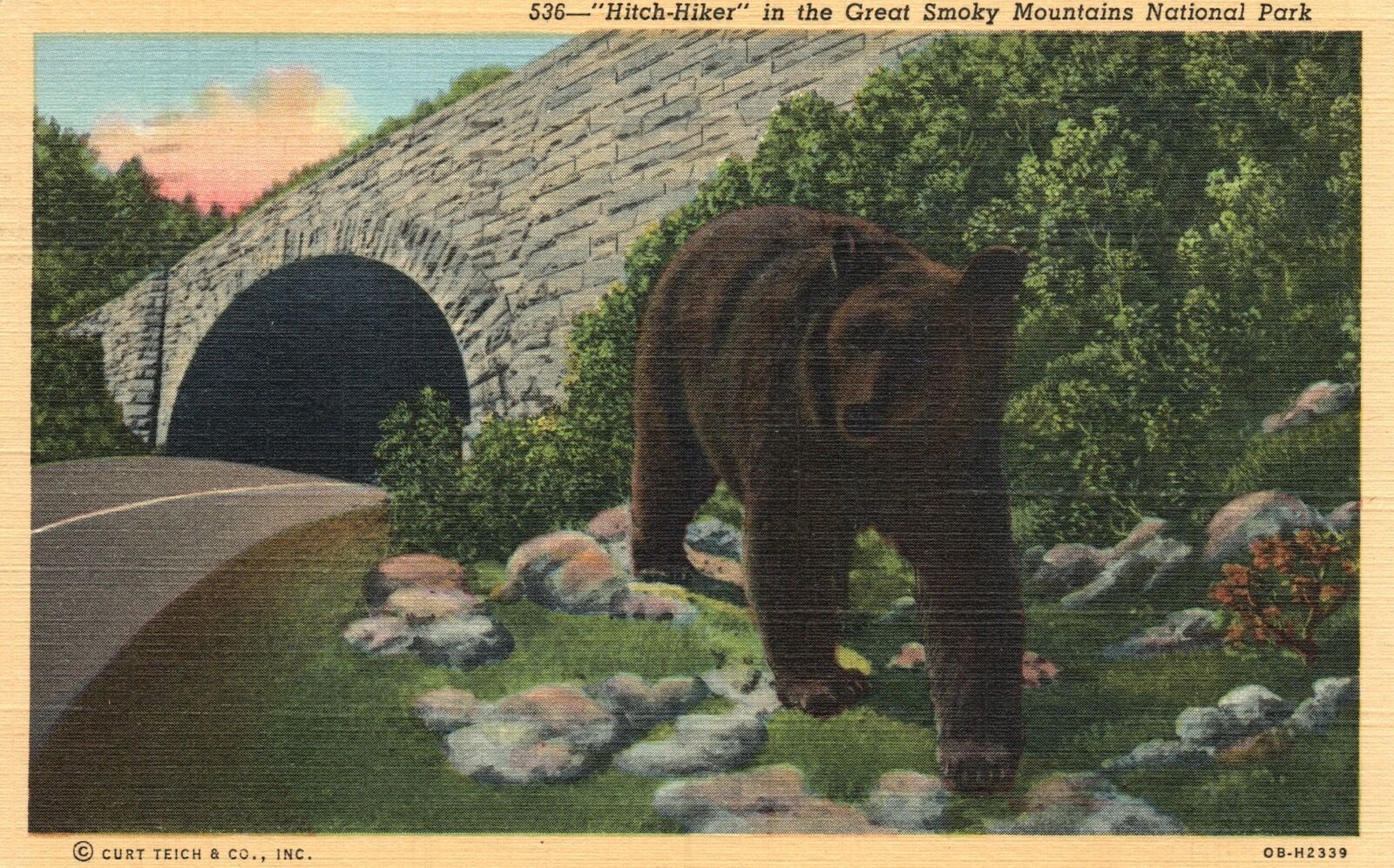 Vintage Postcard 1946 Bear Hitch-Hiker in the Great Smoky Mountains Nat ...