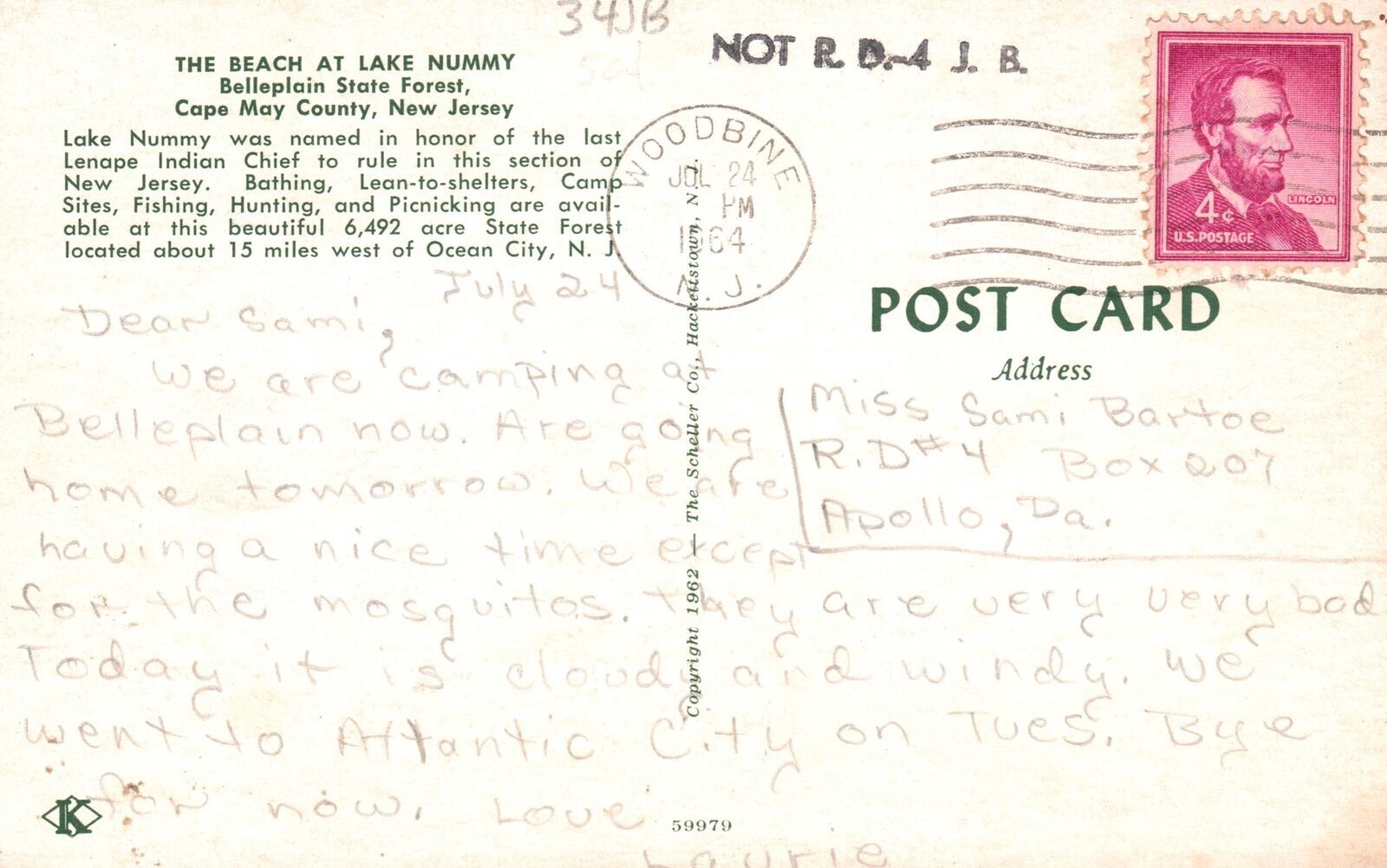 Vintage Postcard 1964 Beach At Lake Nummy Bellaplain State Forest Cape ...