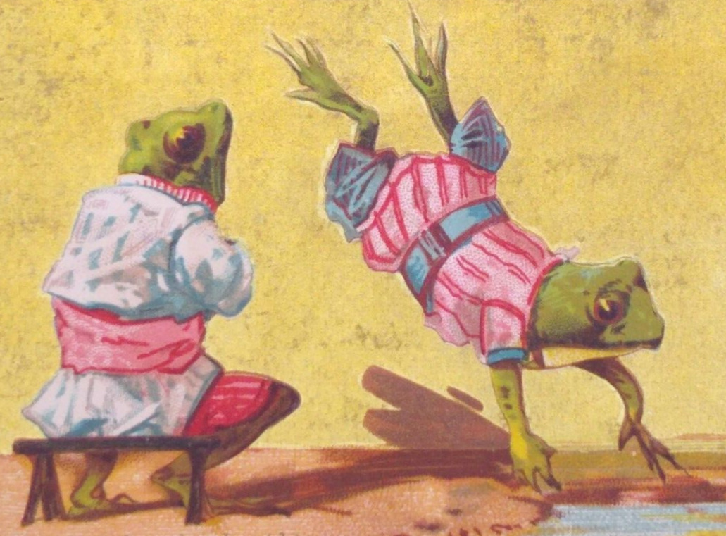 1880s - 1890s Anthropomorphic Dressed Frogs Swimming Practice Victorian ...