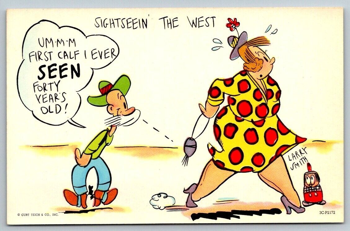 Vintage Saucy Cartoon Humor Postcard - Sightseeing In The West | Other ...