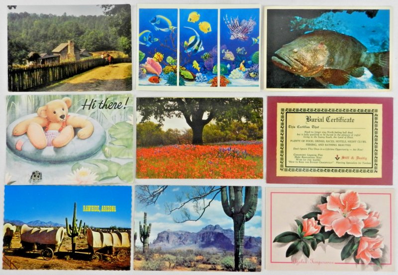 1970's Huge Lot Postcards 1000+ U.S.A. Street Views, Animals, Parks ...