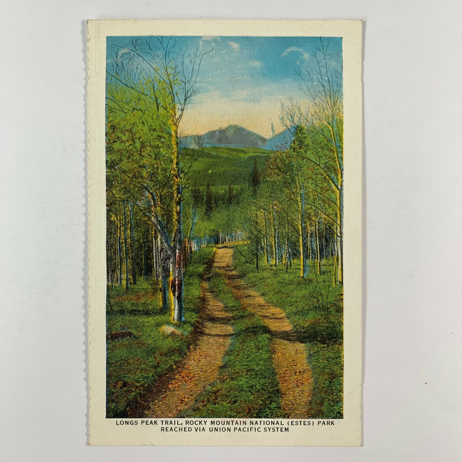 Postcard Colorado Estes Park CO Train Railroad Union Pacific 1930s ...