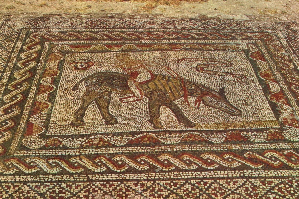 Antique Rome Roman Mosaic Snake In Morocco Postcard | Topics - Animals ...