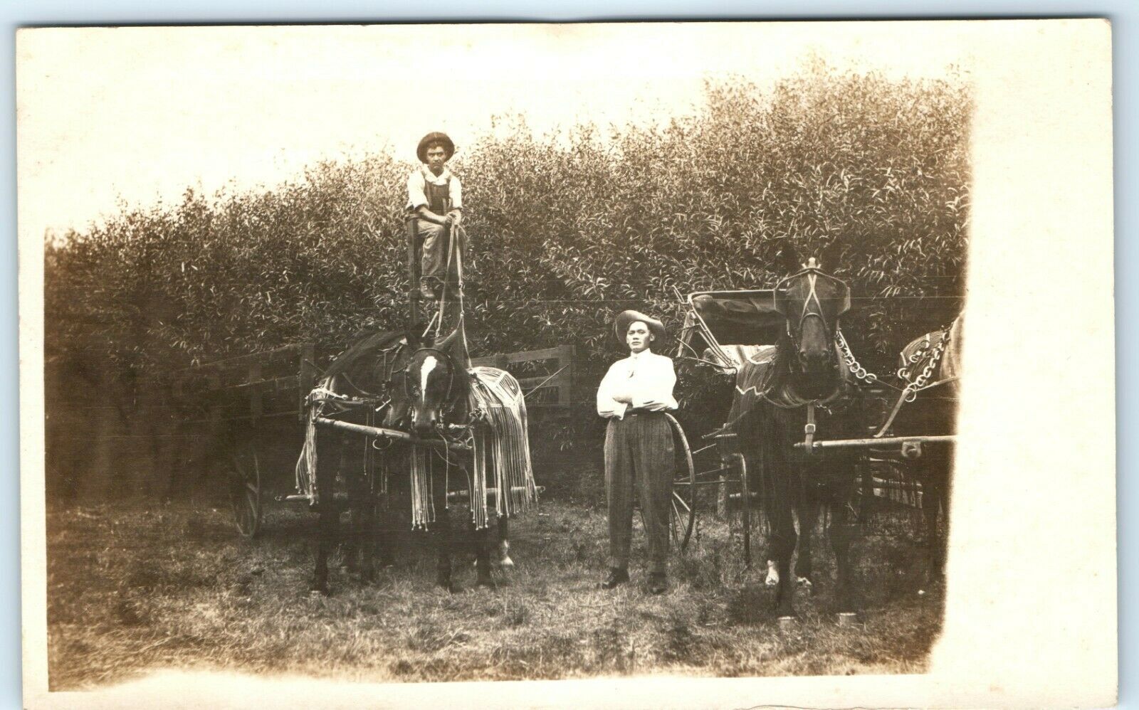 1910s Horses Carriage Trailer Rider Man Elevated RPPC Real Photo Big ...