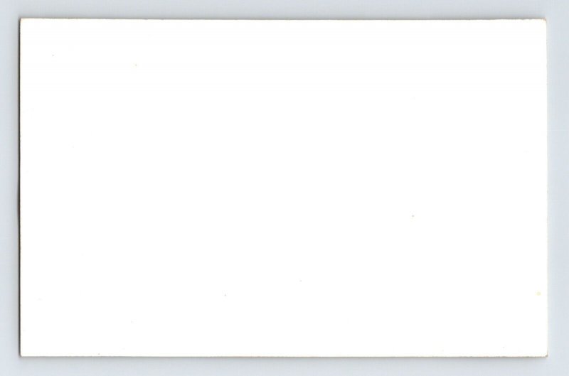 Postcard RPPC Native American Crow Indian Chief Max Big Man Montana ...