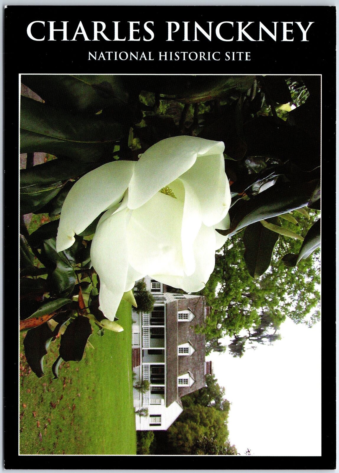 Vintage Continental Size Postcard Charles Pinckney National Historic ...