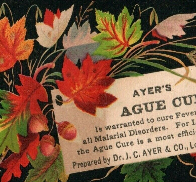 1880s-90s Ayer's Ague Cure Quack Medicine Fab! P225 | Ephemera - Chromo ...