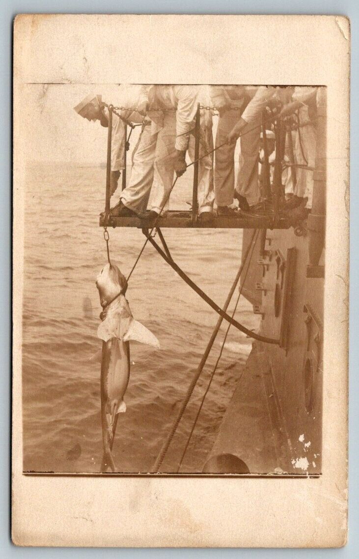 RPPC US Navy Sailors Fishing and Catching a Shark on Ship Postcard ...