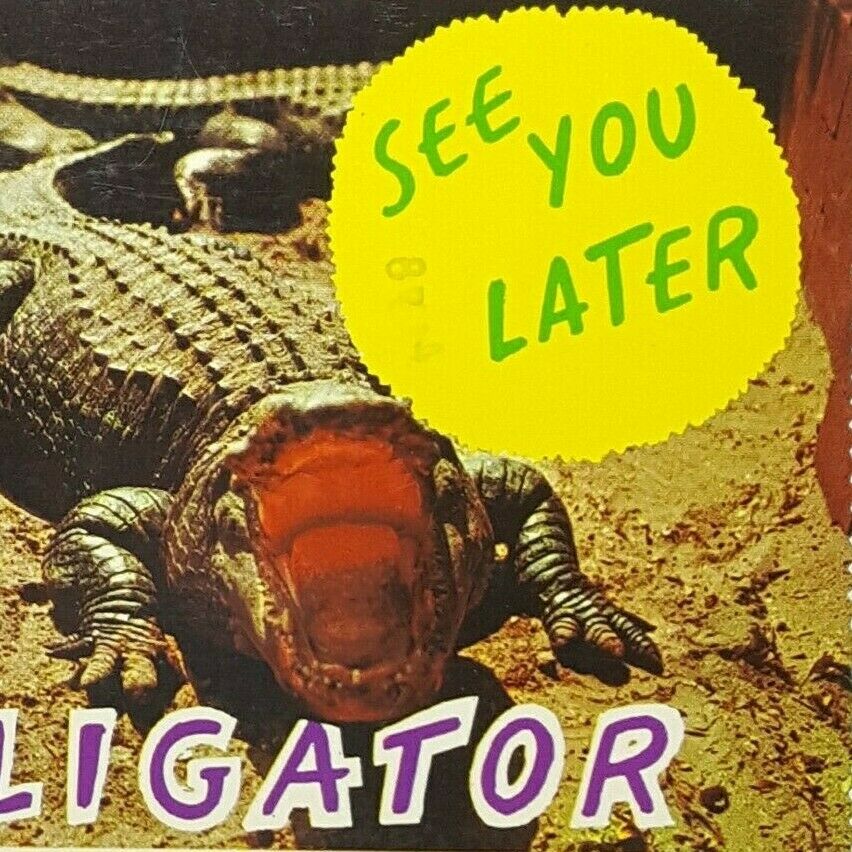 Vintage Postcard Florida Gator Salute Animal | Other / Unsorted ...