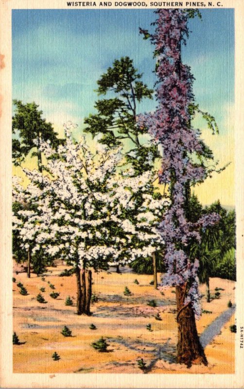 Trees Wisteria and Dogwood Southern Pines South Carolina 1941 Curteich ...