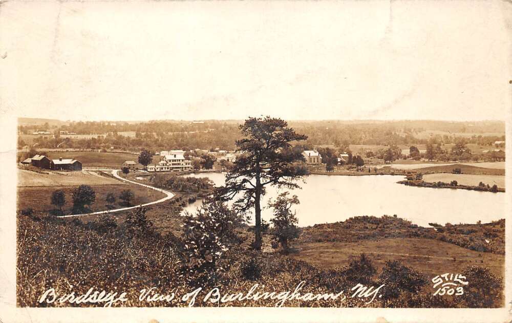 Burlingham New York Bird's Eye View Of Burlingham, Real Photo Vintage ...