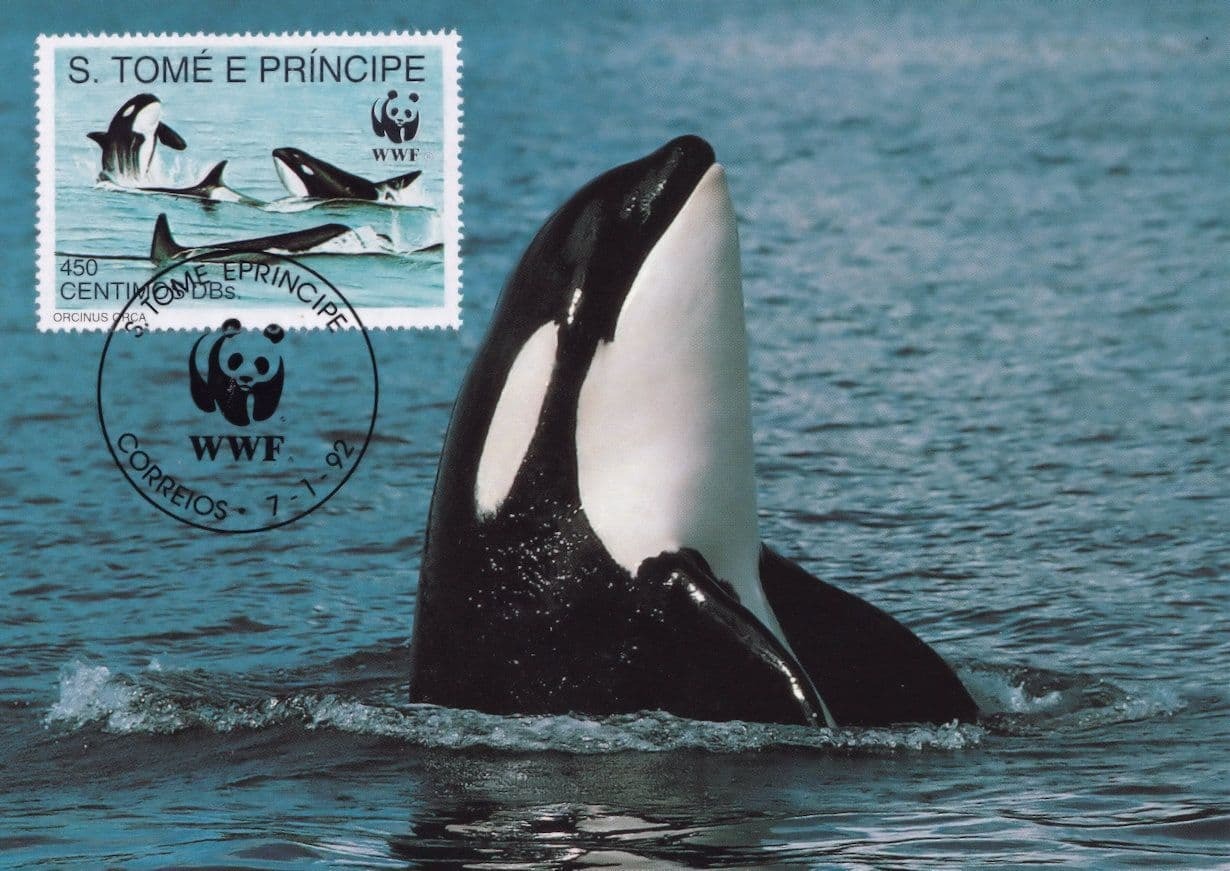 Eyesight Orcinus Orca Killer Whale WWF Sealife Stamp Rare FDC Postcard ...