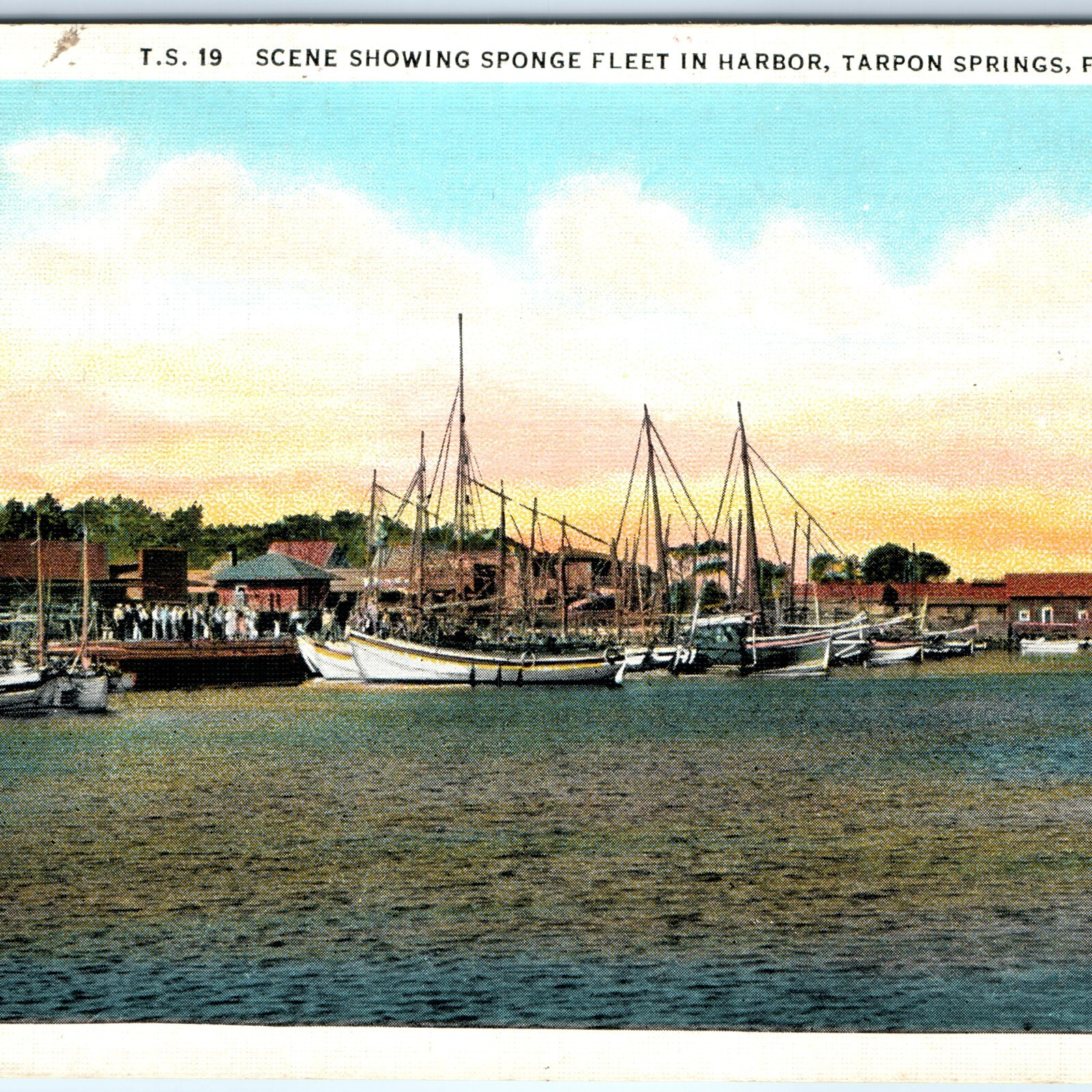 c1940s Tarpon Springs, FL Sponge Fleet Harbor Ship Sail Boat Linen PC ...