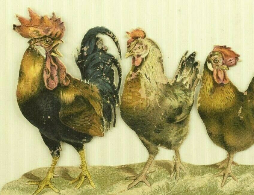 1880's Die-Cut Rooster With Hens Adorable Fab! 7N | Ephemera - Chromo ...