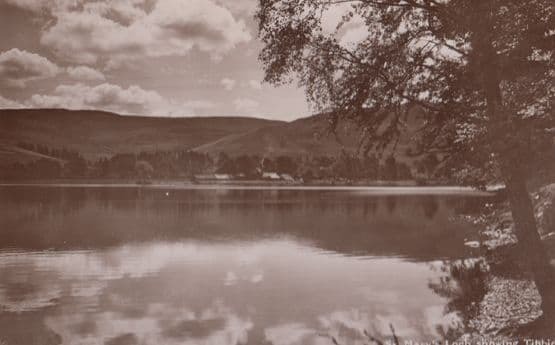 Tibbies From St Marys Loch Mint Vintage Real Photo Postcard | Other ...