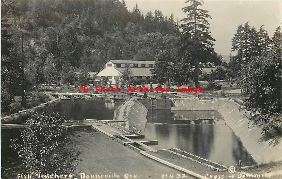 OR, Bonneville, Oregon, RPPC, Fish Hatchery, Exterior View, Cross Photo ...