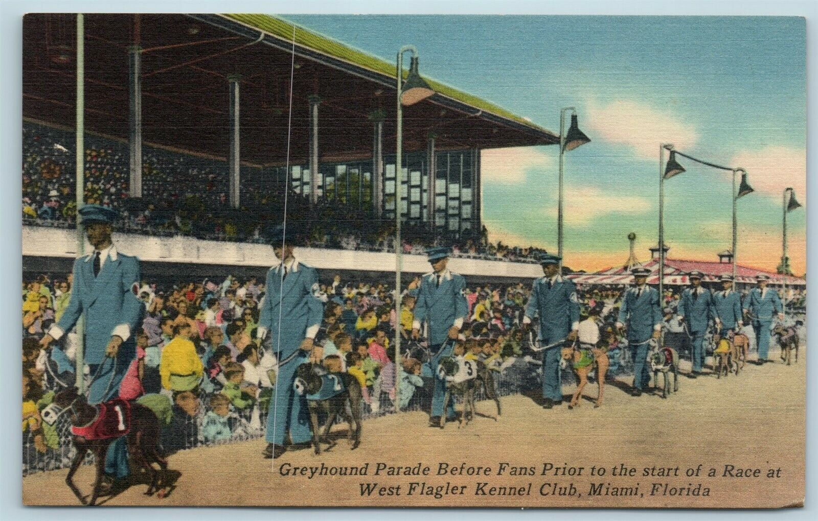 Postcard FL Miami Greyhound Racing West Flagler Kennel Club Dog Parade ...