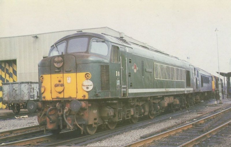 Class 44 D8 Penyghent Train at Toten Railway Depot 1968 Postcard ...