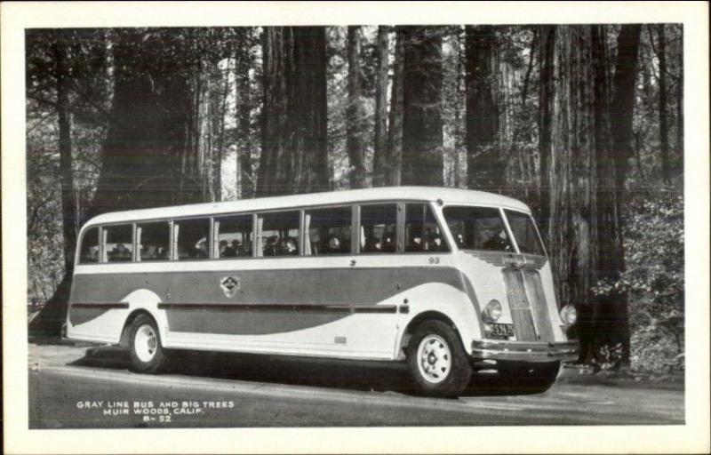 Art Deco Bus Gray Line Muir Woods CA Old c1940s-50s Postcard | Topics ...