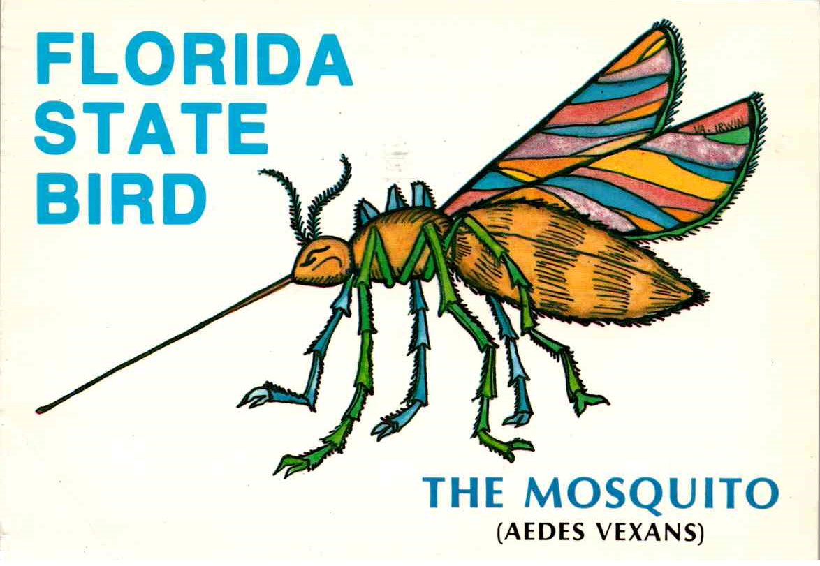 The Florida State Bird - The Mosquito - in 1988 - Continental Size ...