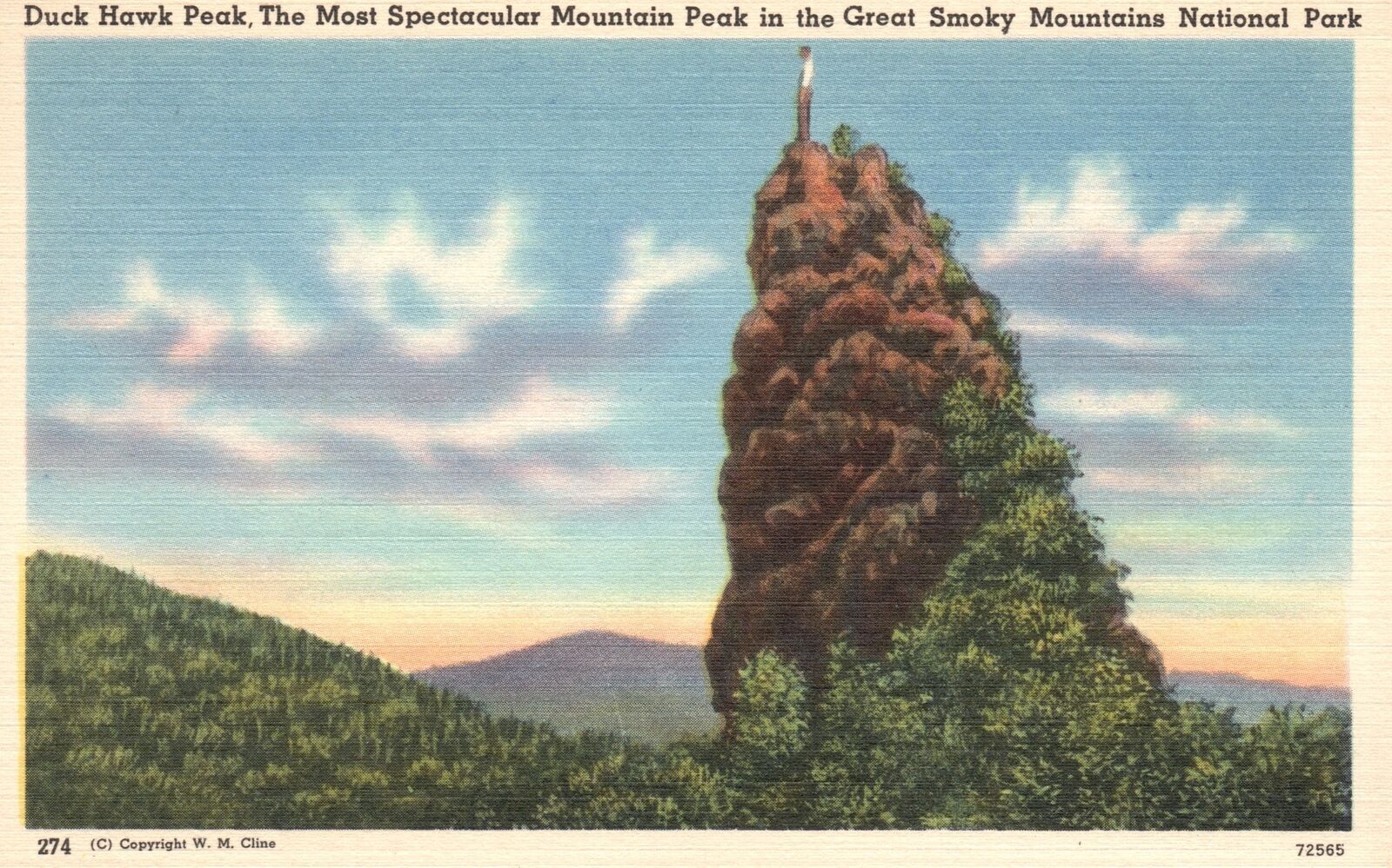 Vintage Postcard Duck Hawk Peak Most Spectacular Mountain Peak Great ...