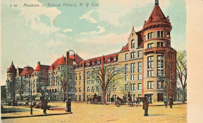 New York City~Museum of Natural History~1900S Rotograph Tinted Photo ...