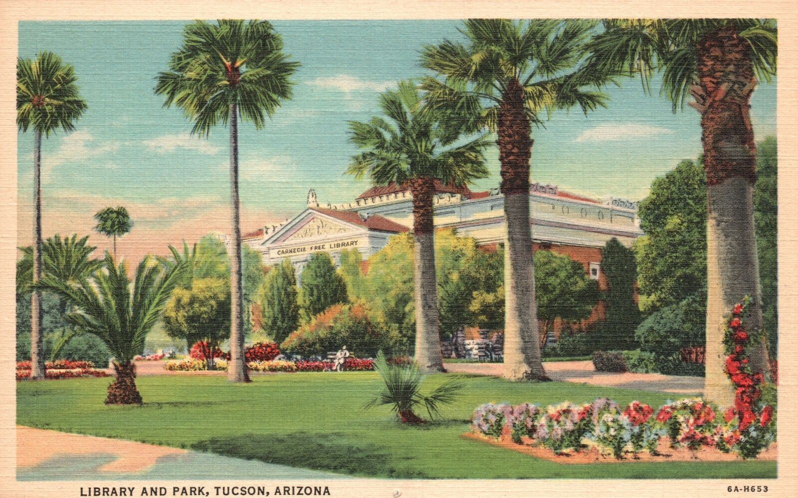 Vintage Postcard Library And Park Palm Trees On Ground Landscape Tucson ...