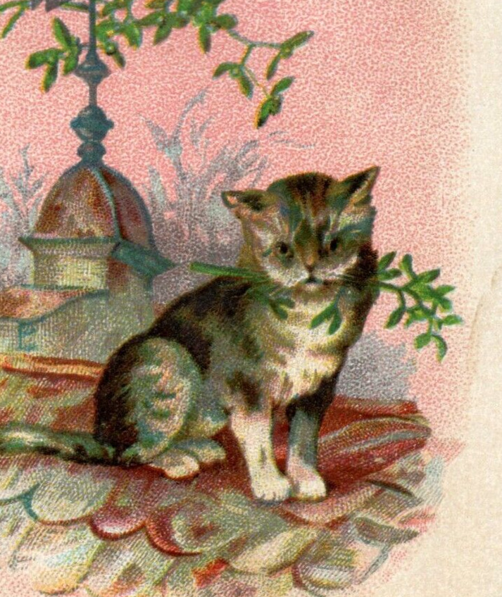 1880s Lion Coffee Woolson Spice Co. Mocha Java Cat & Mistletoe P160 ...