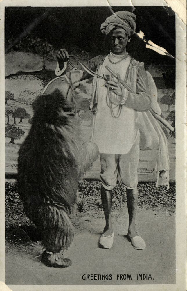 india, Native Juggler Juggling, Bear Tamer at Work (1920s) Postcard ...
