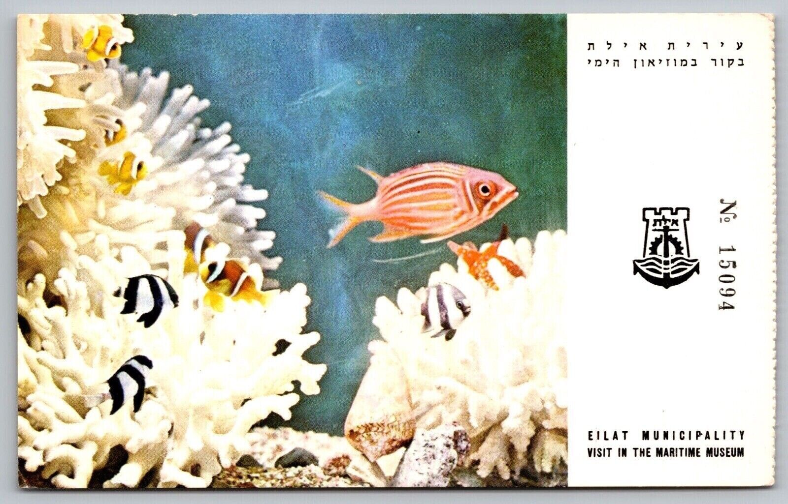 Eilat Municipality Maritime Museum Red Sea Underwater Scene Fish UNP ...