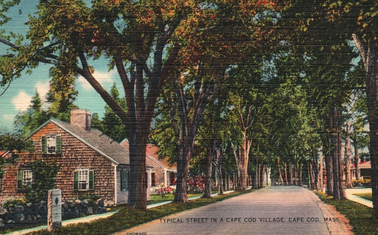 Vintage Postcard Typical Street in Cape Cod Village Old Homes ...