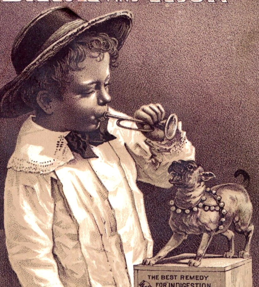 1880s Nichols' Bark & Iron Quack Med. Cute Dog & Boy Peter Eppler ...