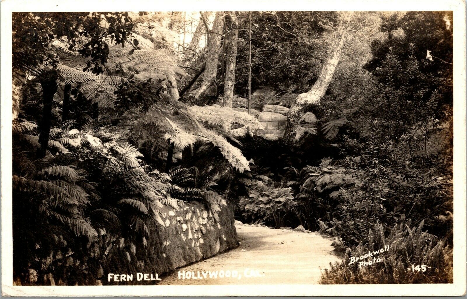 Vtg Fern Dell Trail Griffith Park Hollywood CA 1940s RPPC Brookwell ...