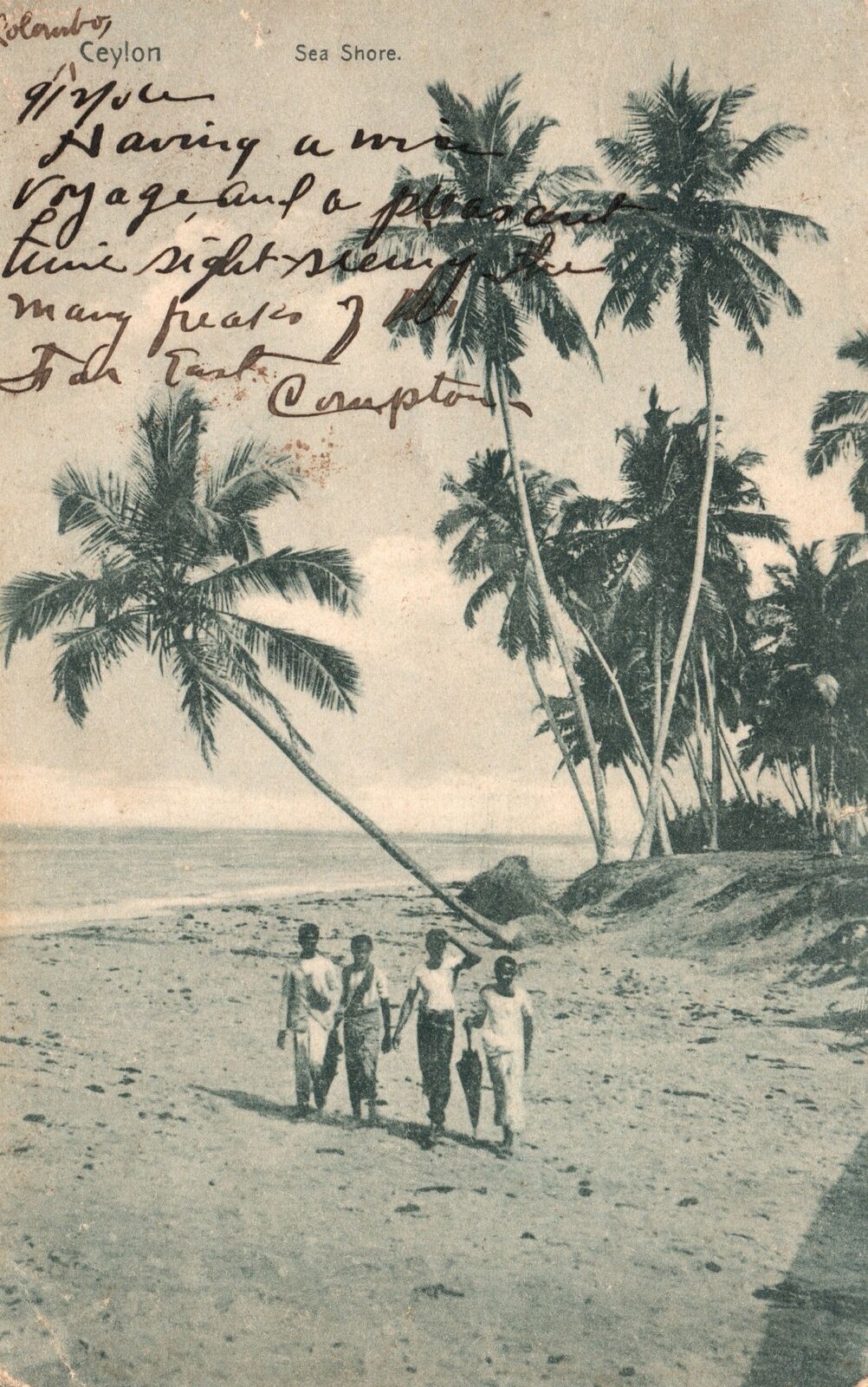 Vintage Postcard Seashore Coconut Palm Trees Beach Scene Ceylon Sri ...