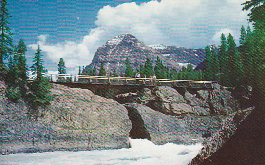 Natural Bridge and Mt Stephen Yoho National Park British Columbia ...