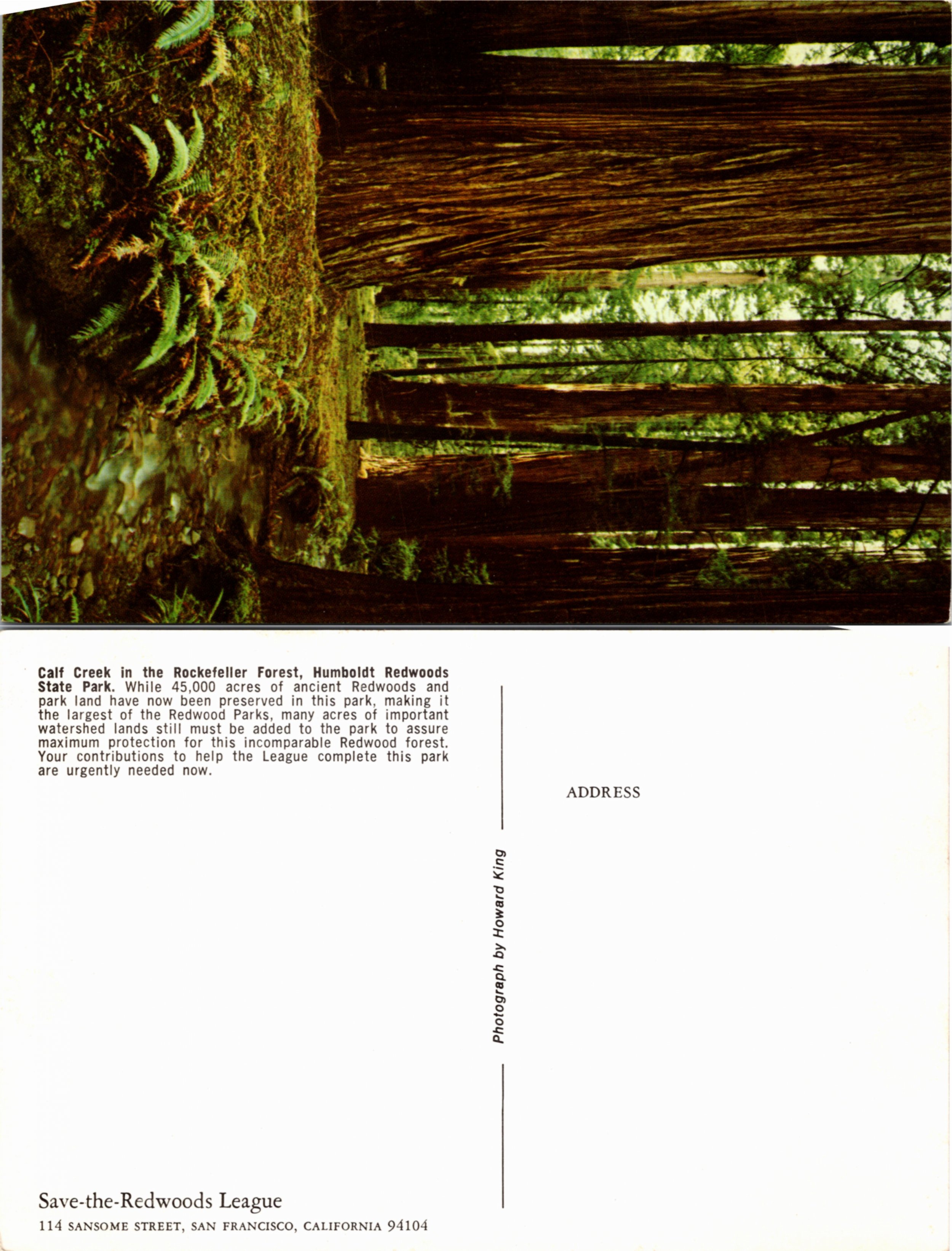 Calf Creek, Rockefeller Forest, Humboldt Redwoods State Park(25005 ...