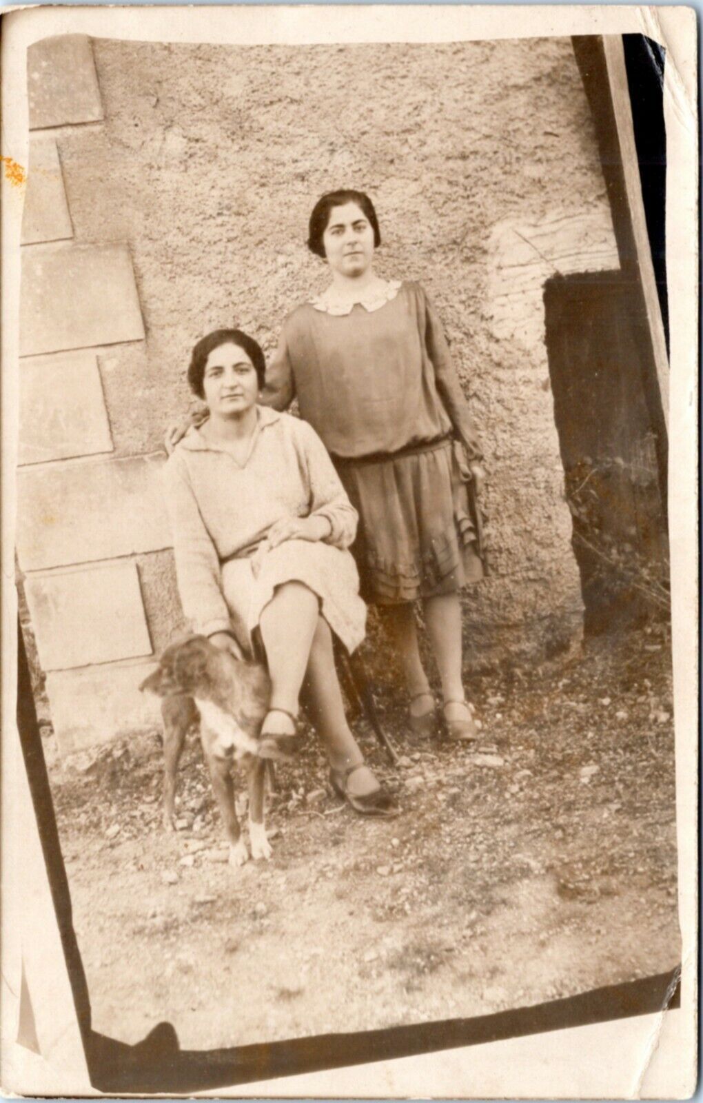 RPPC Two Women with Dog - Satrap | Africa - Algeria - People - Women ...