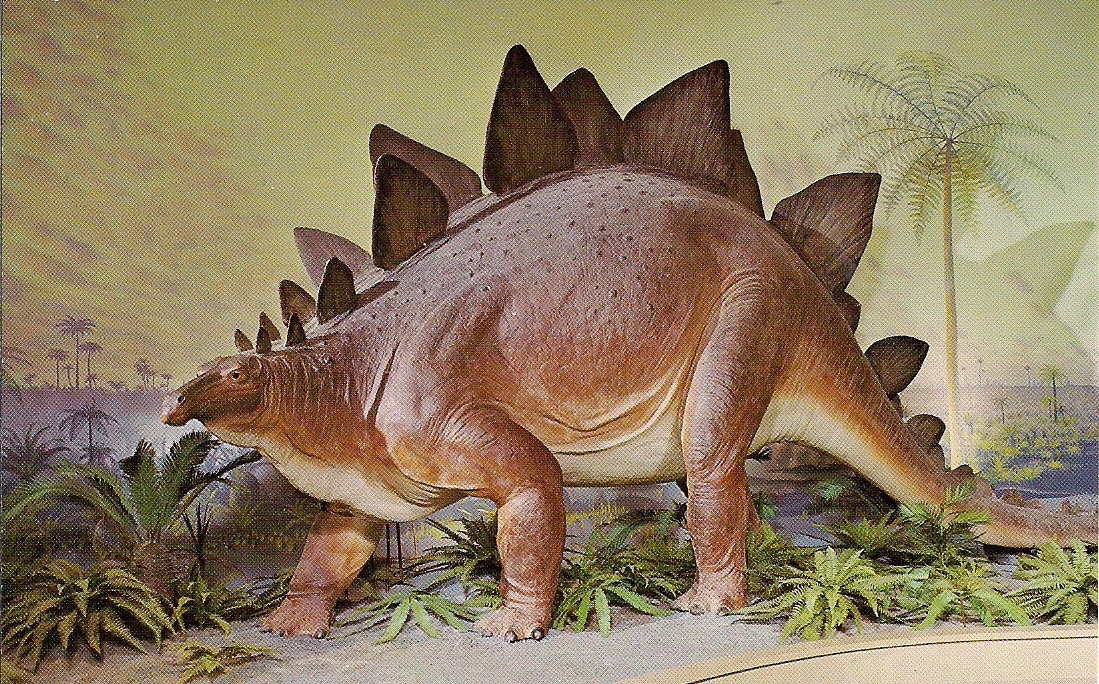 DINOSAUR Stegosaurus Life Size Model, Milwaukee Museum WI 1960's ...