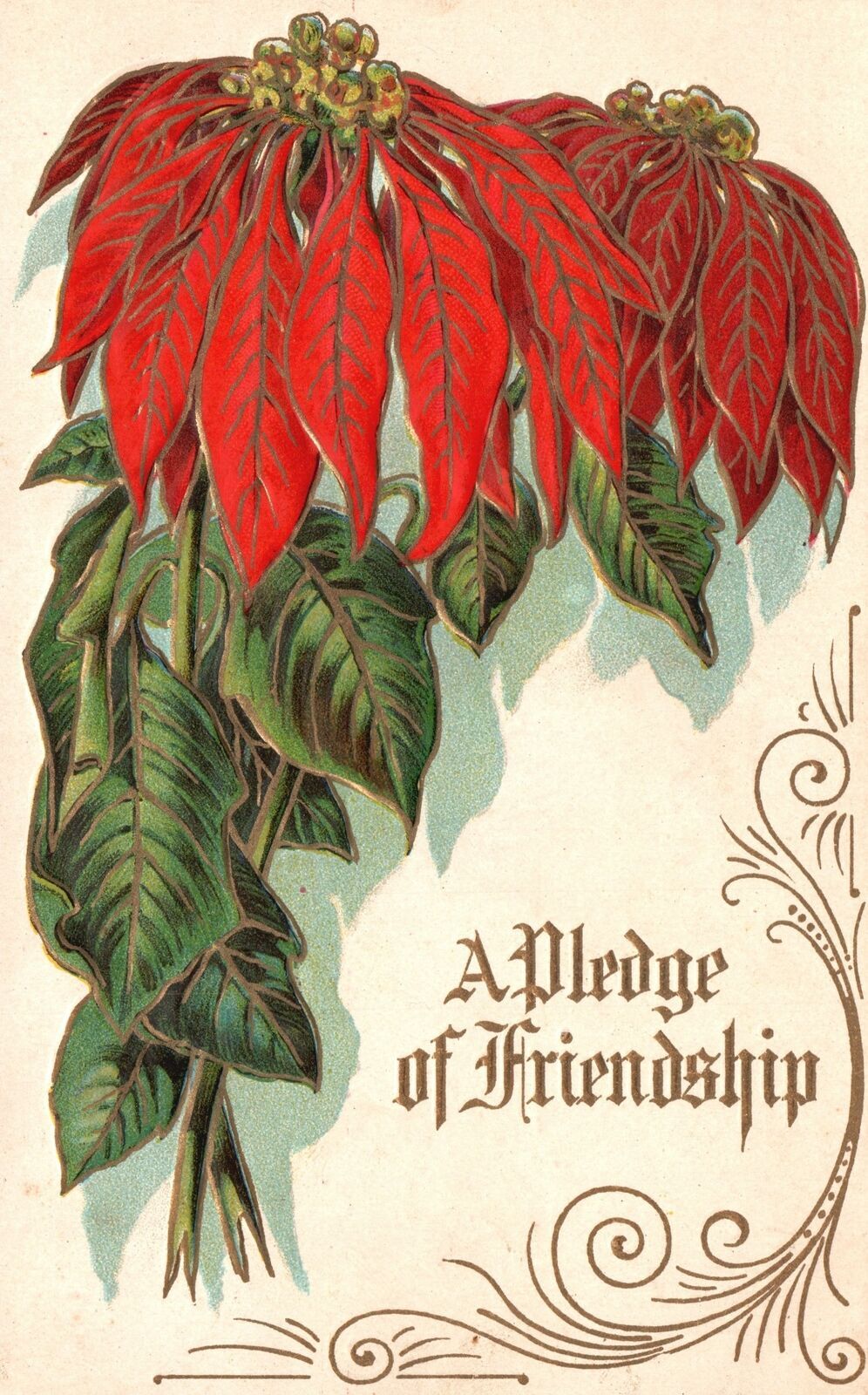 Vintage Postcard 1910's A Pledge of Friendship Greetings Beautiful Red ...