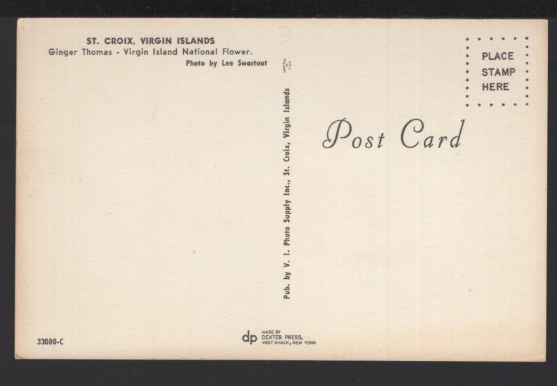 Virgin Islands ST. CROIX Ginger Thomas Virgin Island National Flower ...