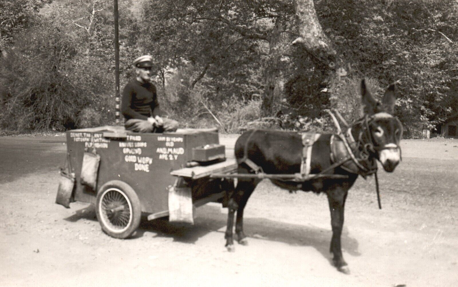 Vintage Postcard Man w/ Business Cart Donkey Ice Cream Real Photo RPPC ...