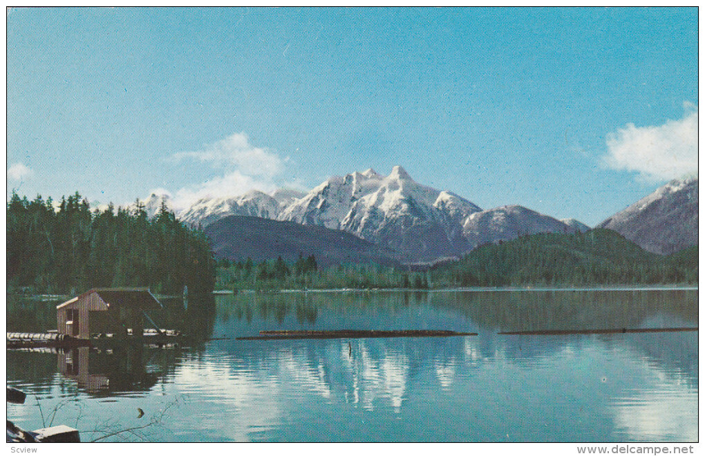 Logging Shack , Nimpkish Lake , VANCOUVER ISLAND , Canada , 50-60s ...