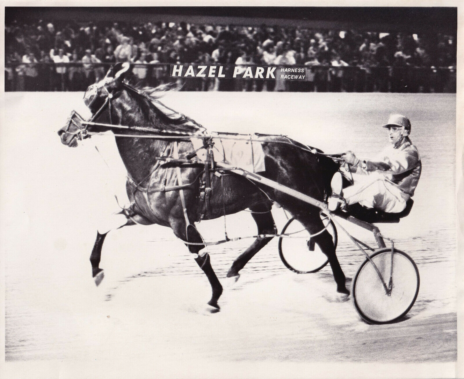HAZEL PARK RACEWAY, Harness Horse Race, "BARON BARNUM" Wins, 1979 ...