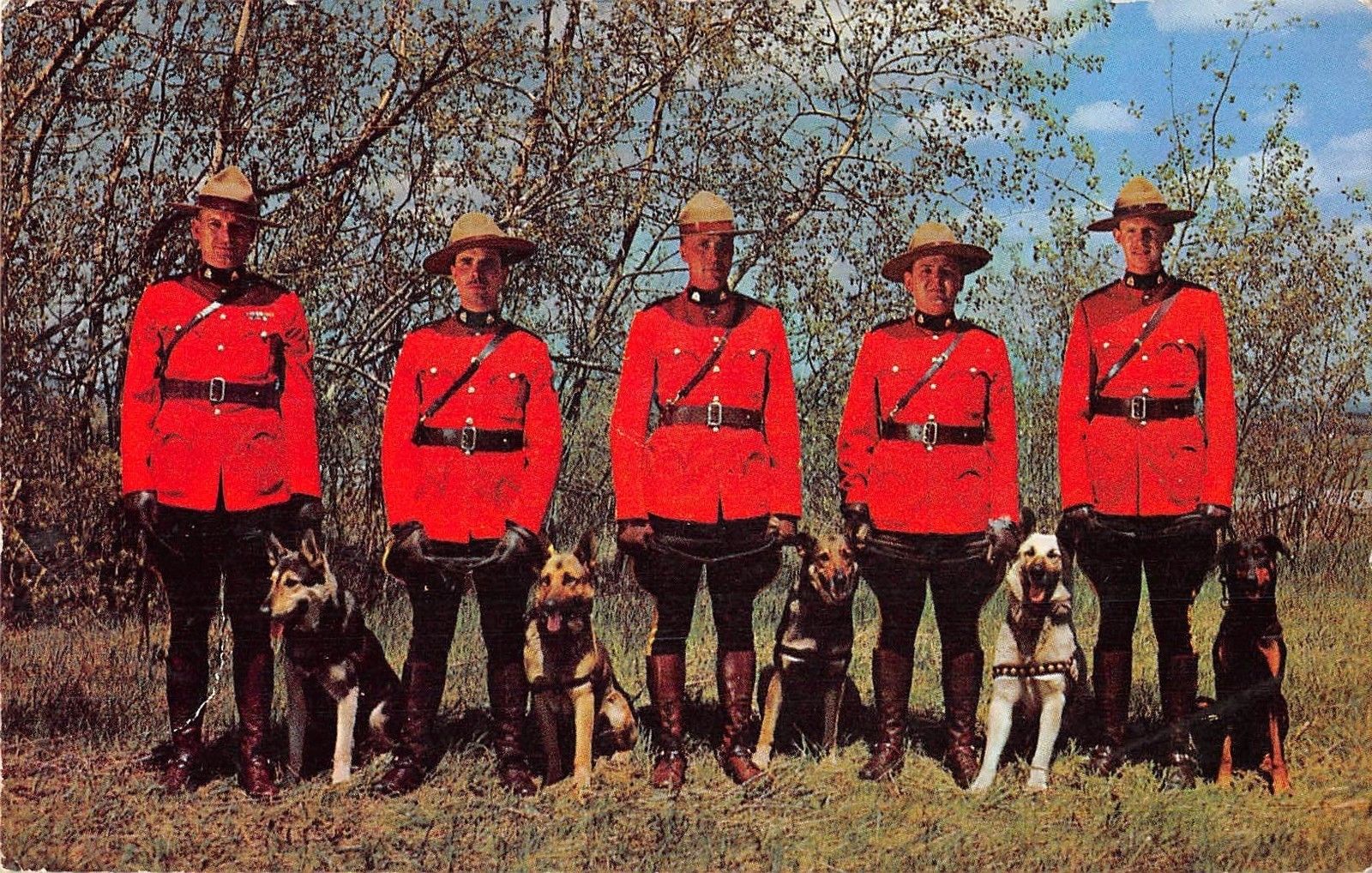 BR99215 royal canadian mounties in action military militaria canada ...